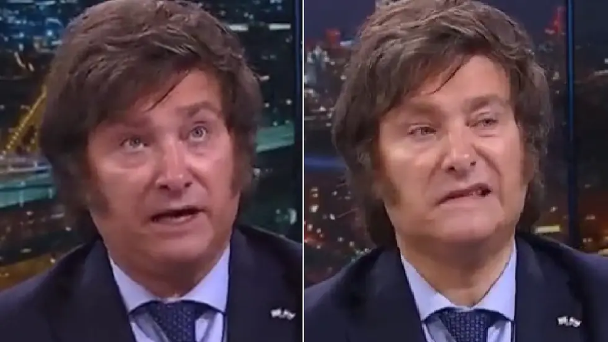Video: así Javier Milei se enojó durante una entrevista por el ruido ...