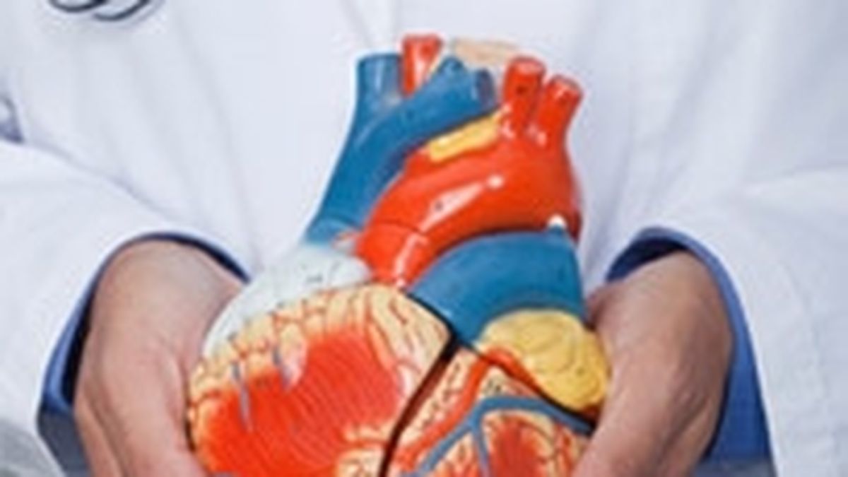 Crean parche para los corazones lesionados por una enfermedad