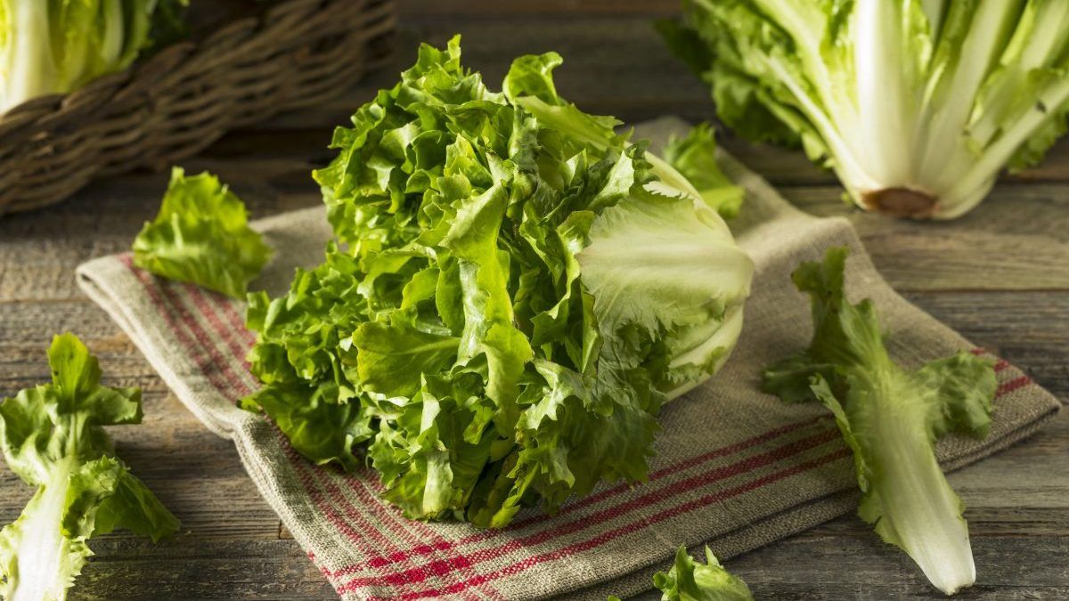 La lechuga, por las nubes: el kilo cuesta hasta $900