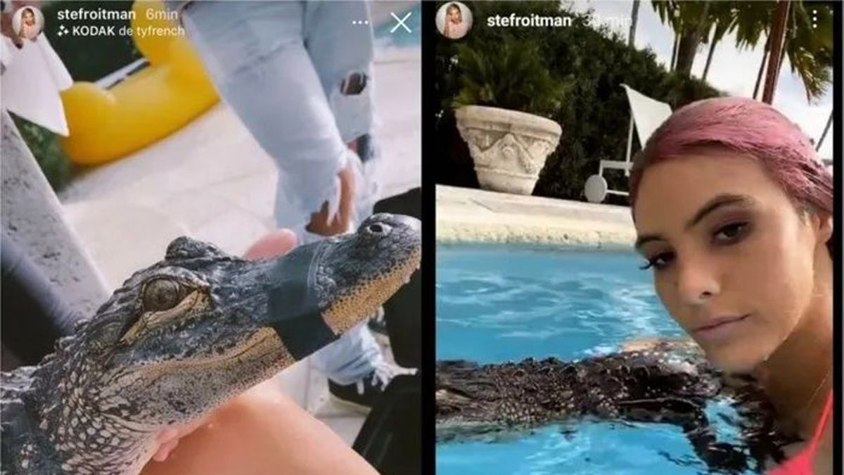 Maltrato animal: Stefi Roitman y Lele Pons, acusadas