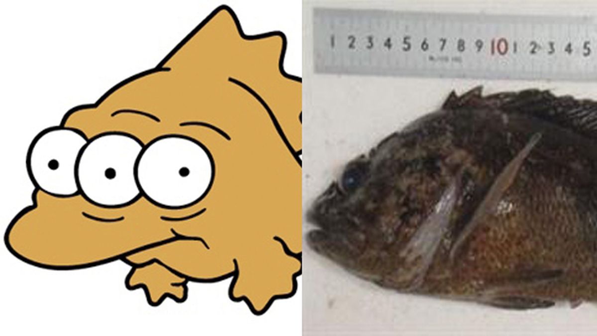 Aparece pez radioactivo similar al de serie Los Simpsons