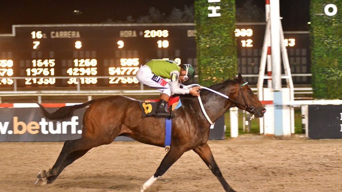 Resultados de ayer en el Hipódromo de Palermo