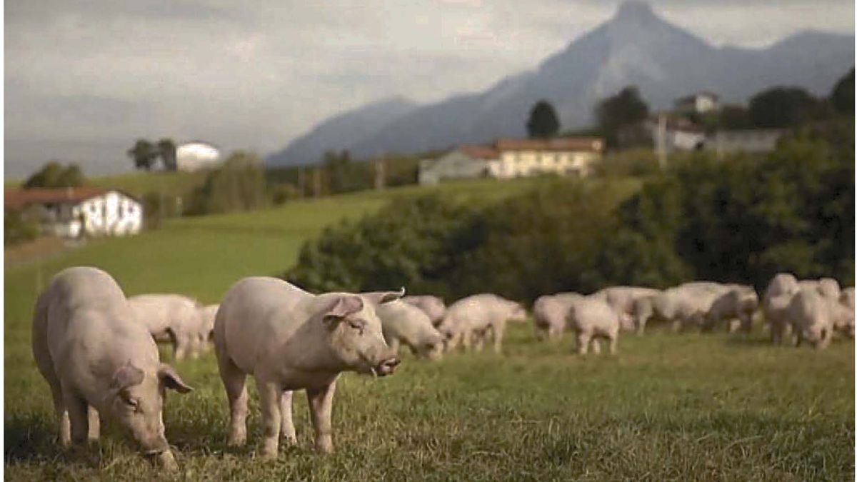Cuando se sueña con el campo y la granja