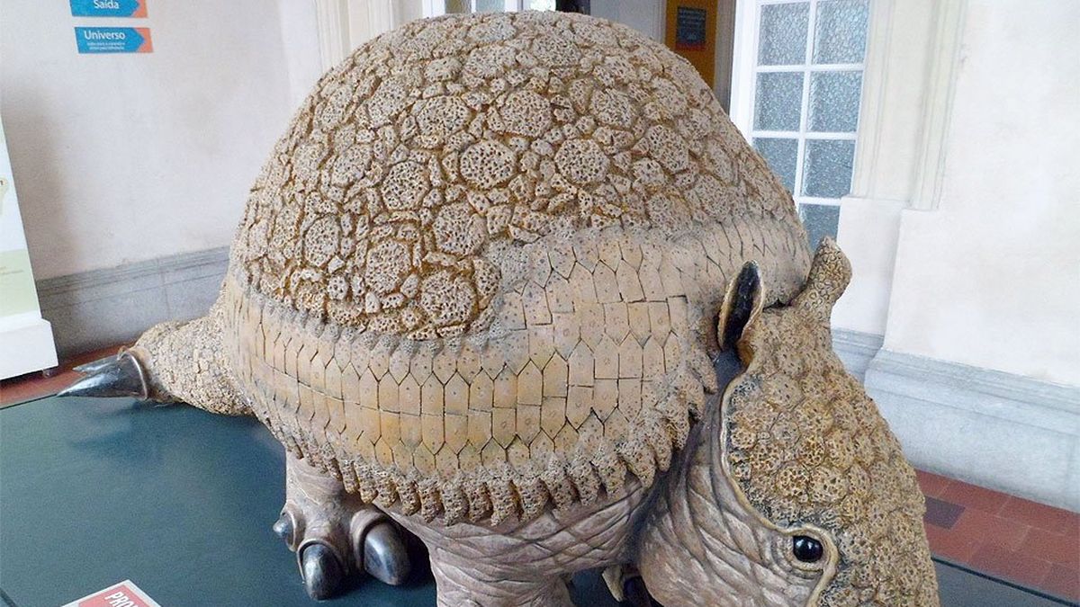 Mar del Plata: 2 niños encontraron restos de un gliptodonte