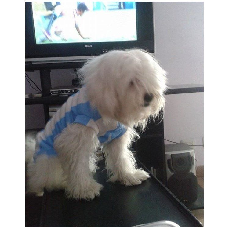 Fito se pone muy nervioso