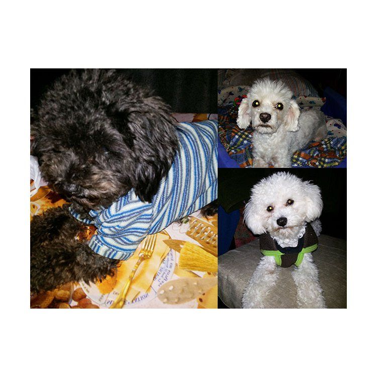 Simón, Lola y Loló