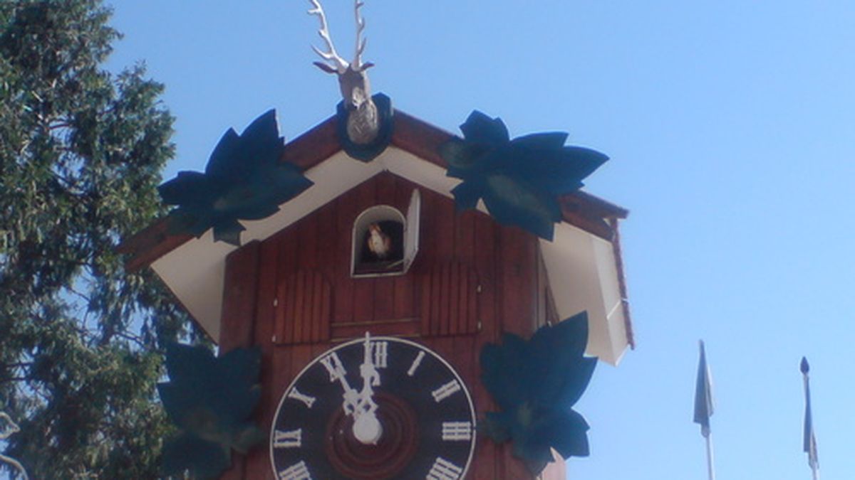 Pobre cucú: se robaron el pajarito, pero ya lo recuperaron